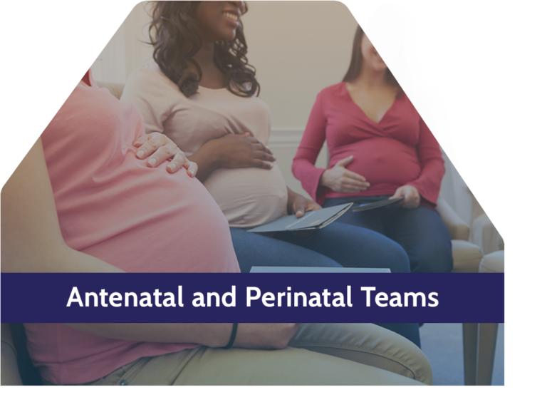 Solihull Approach | Parenting | Training for professionals